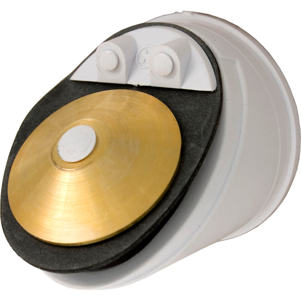 Check Valve, Hayward Star-Clear/Perflex/ASL/RegenX ...